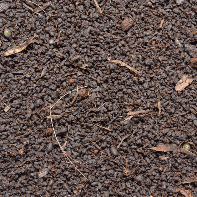 Humic Compounds for Brain Health: Miracle Grow for Your Brain! – Enerex ...