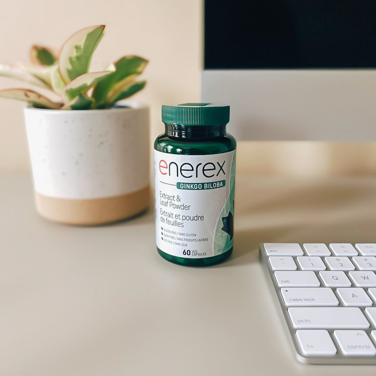 Enerex Ginkgo Biloba – Enerex Botanicals